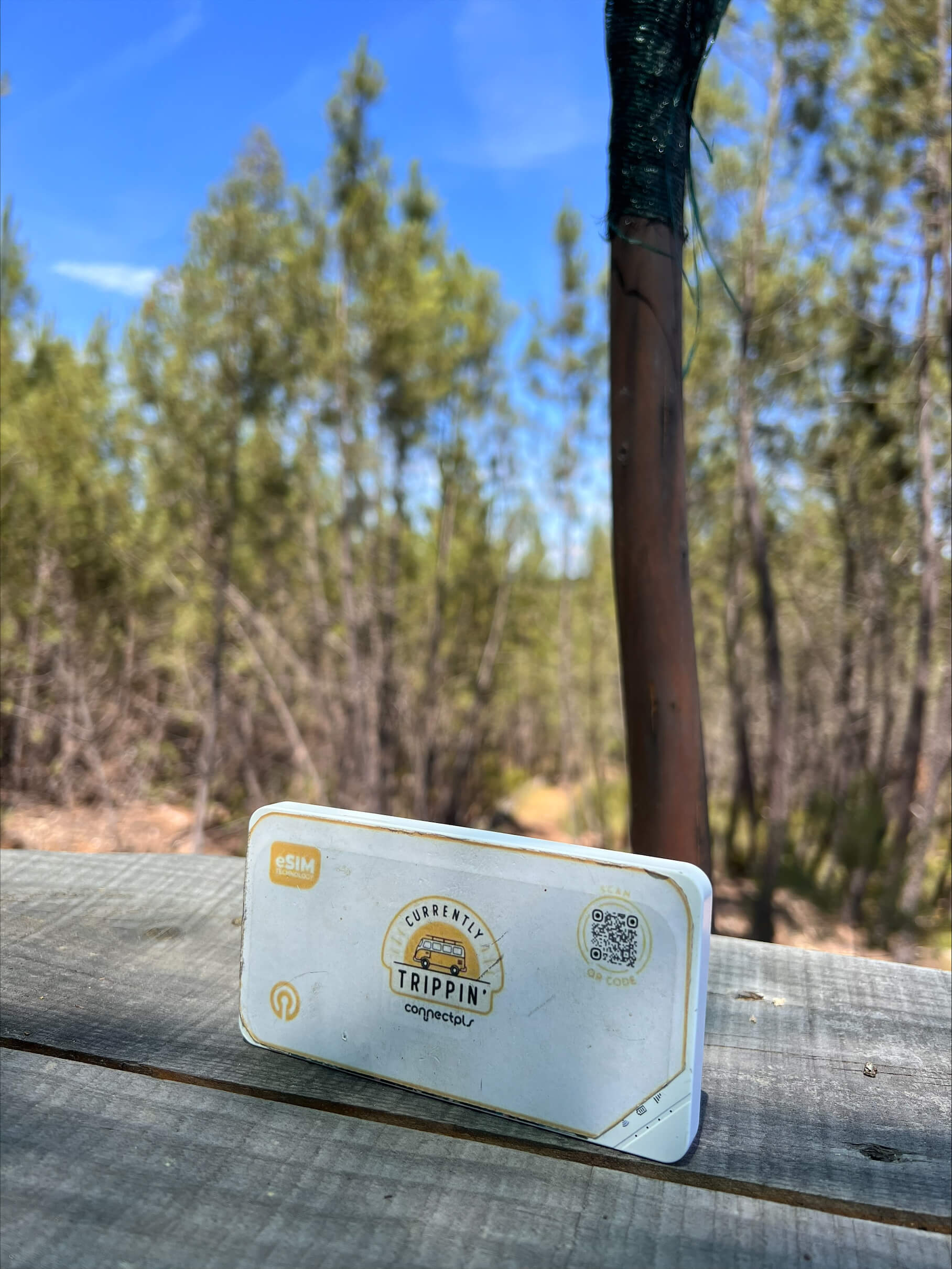 Best Activities for Van-lifers | ConnectPls