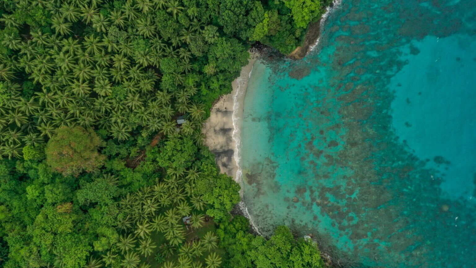 Exploring Indonesia's First Digital Nomad Village with ConnectPls