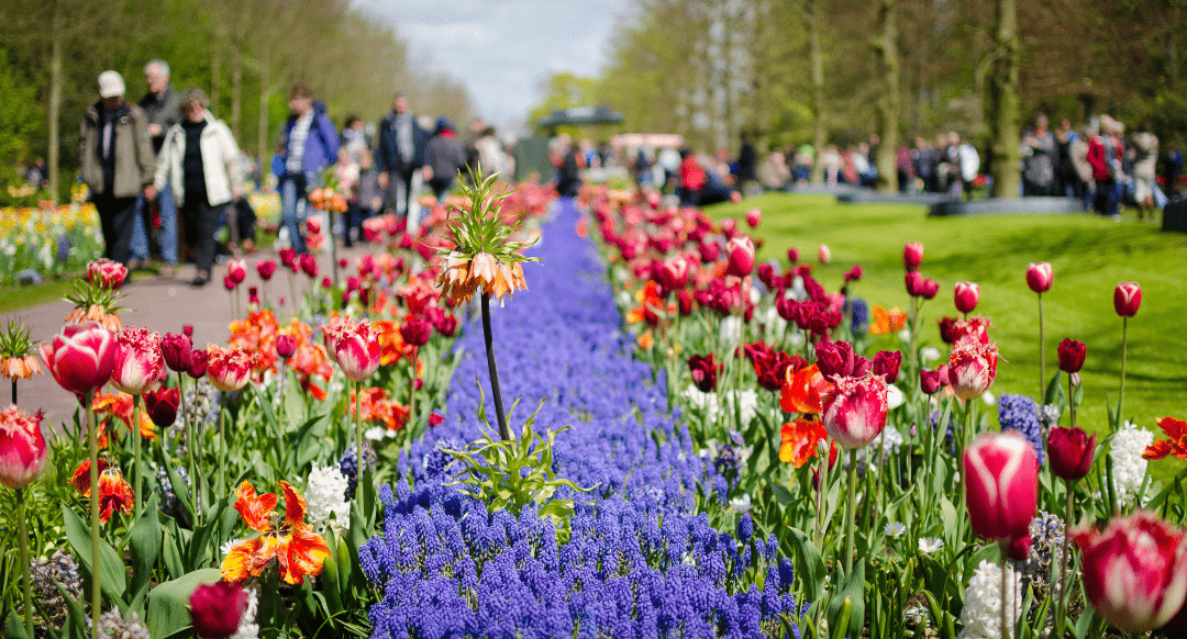 The Best Spring Events in Europe You Can’t Miss 2025 | ConnectPls